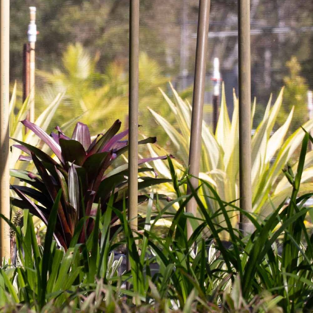 Natural Green Nursery – Your Local Horticulturalist